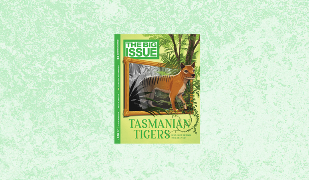 Tasmanian Tigers – The Big Issue